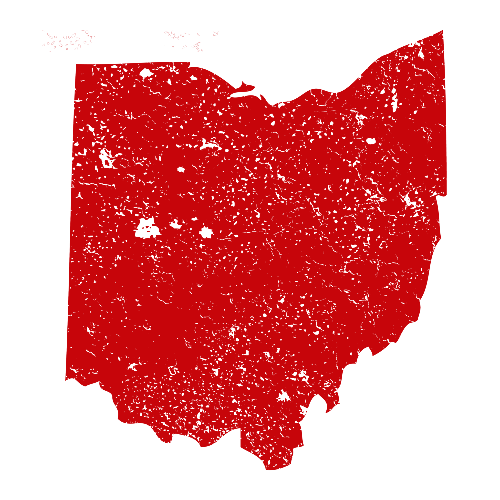 Browse Designs Ohio Swag